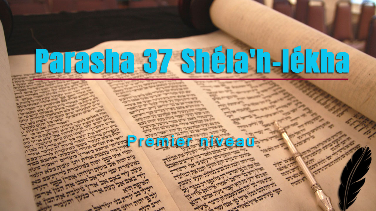 Parasha 37 : Shéla'h-lékha (envoie toi-même)